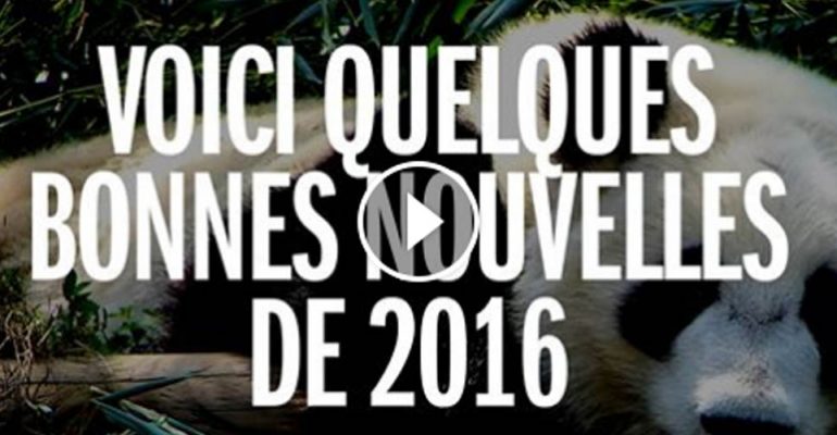 TOP 13 des bonnes nouvelles de l'année 2016 - Le Lorrain
