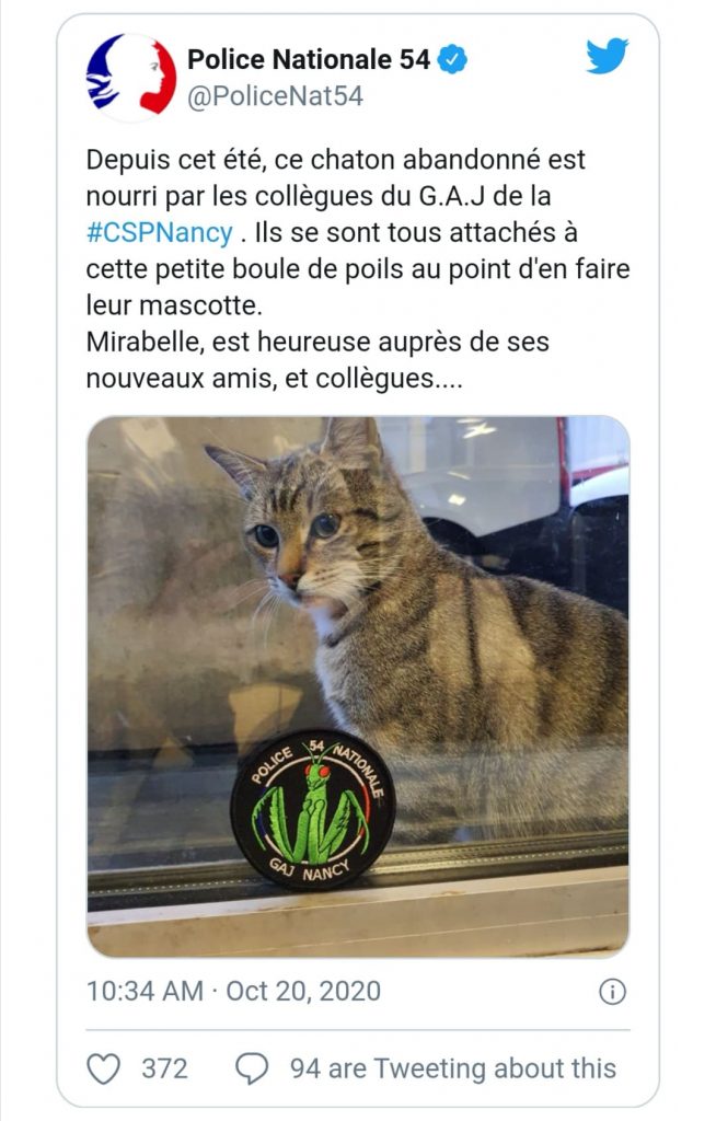 mirabelle-chat-police-nancy - Le Lorrain